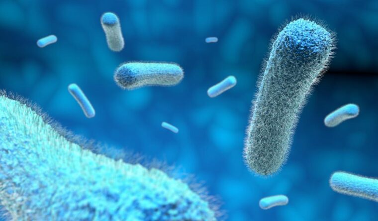 Role of Microbial Forensics to Identify time since death - Legal Desire ...