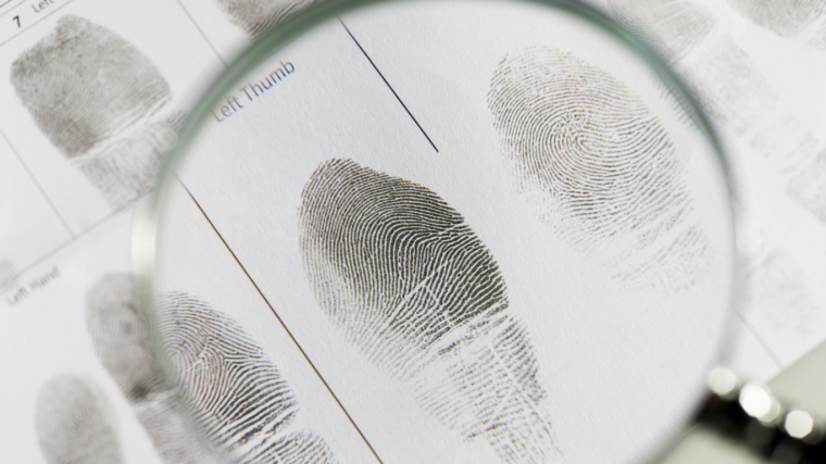 Heredity in Fingerprints and Pattern similarities among family members ...